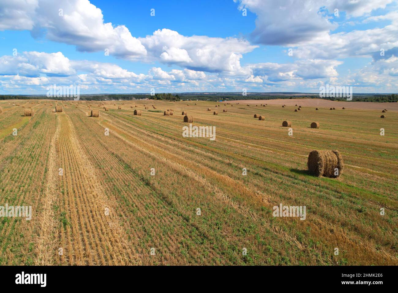 Haystack on field on blue sky background. Hay bale from residues grass ...