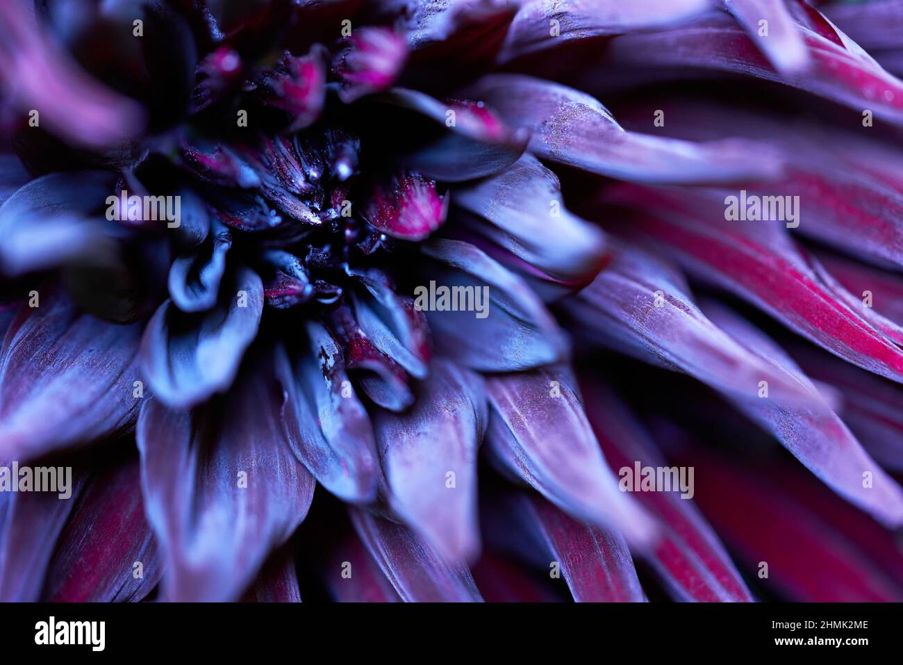 Jack frost garden hi-res stock photography and images - Alamy