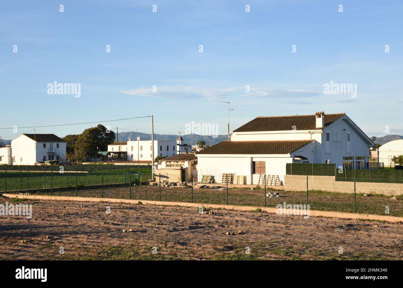Agricultural plants growing on a farm field with fertile soil near ...
