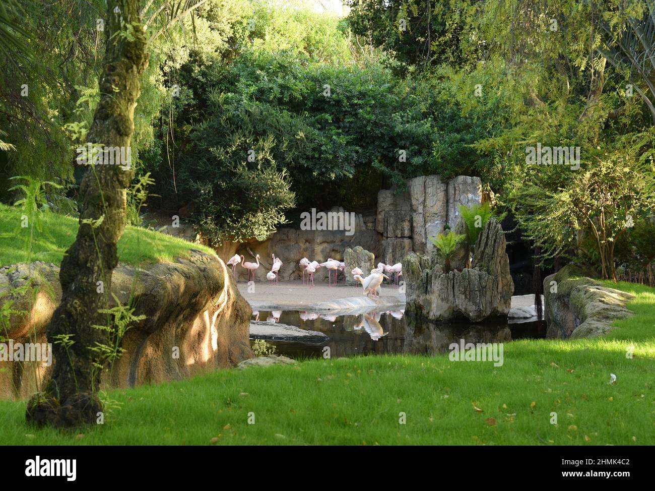 Rose habitats hi-res stock photography and images - Alamy