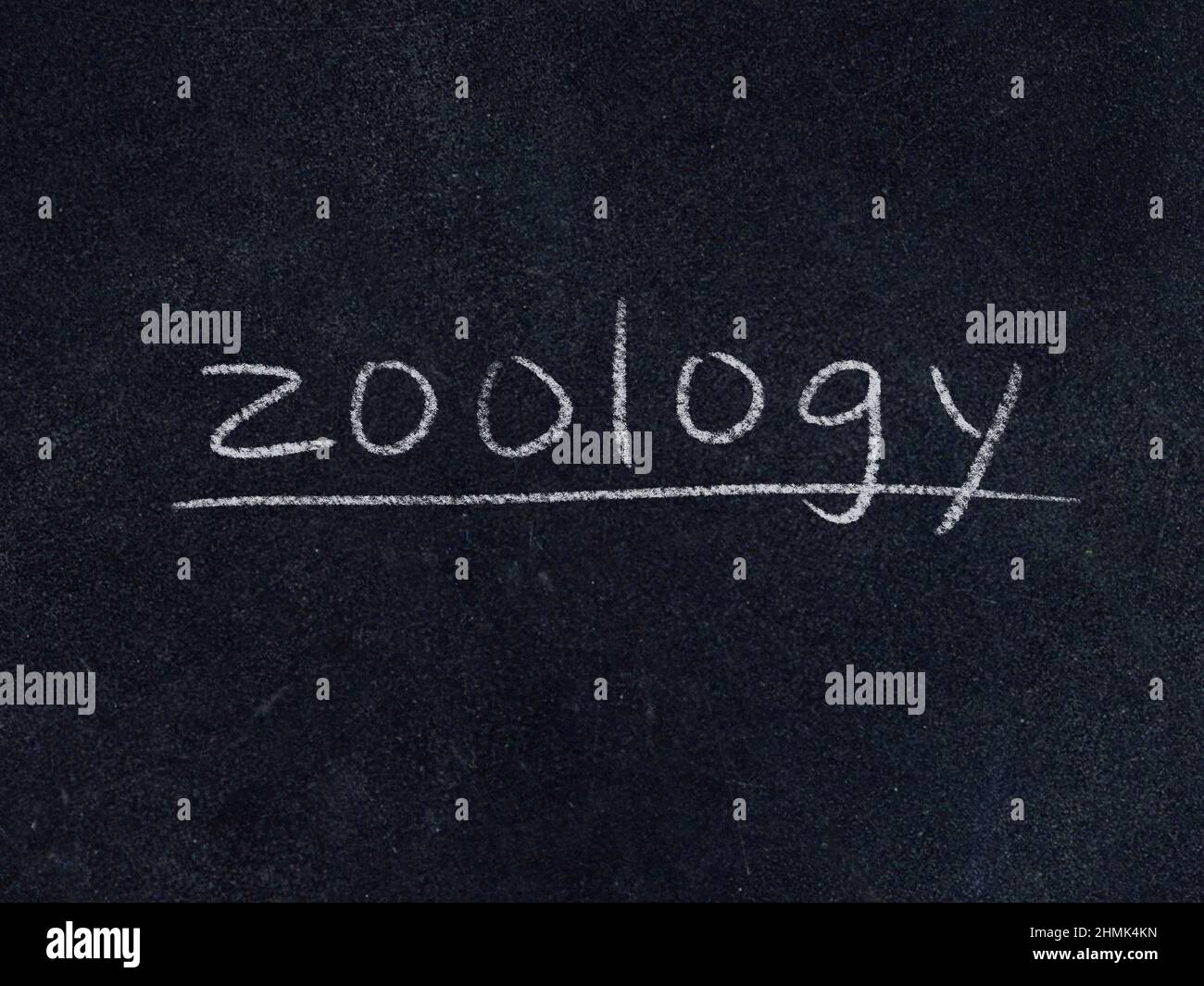 zoology concept word on blackboard background Stock Photo - Alamy