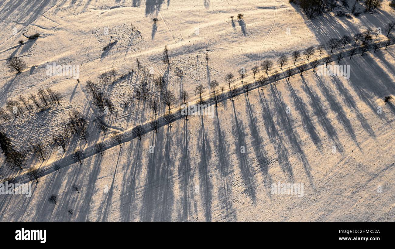 Aerial view of winter landscape with tree shadows on the snow Stock ...