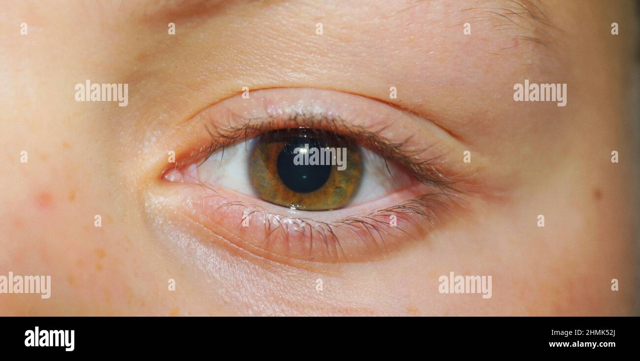 Hazel eyeball hi-res stock photography and images - Alamy