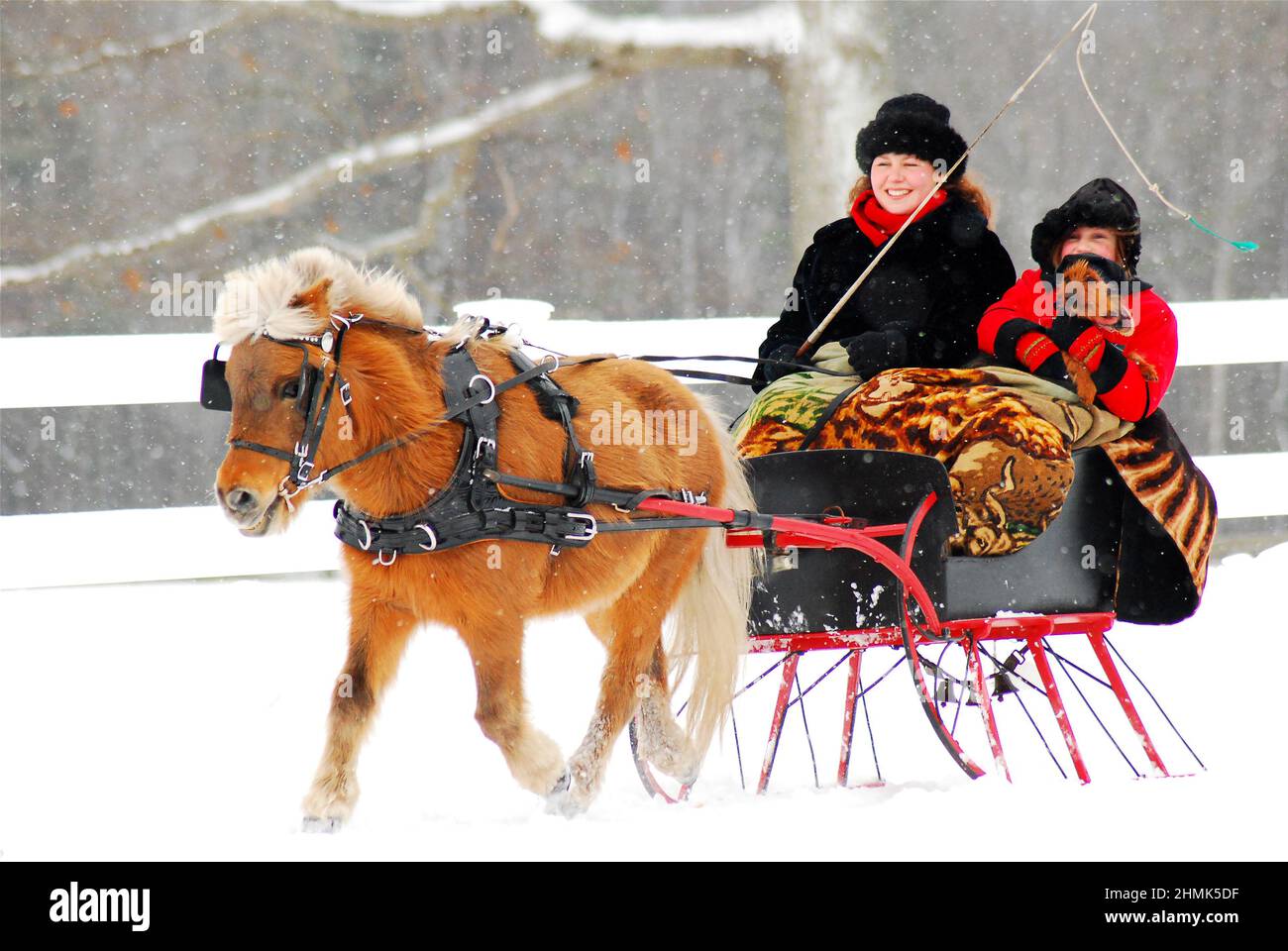 Victorian sleigh hi-res stock photography and images - Alamy