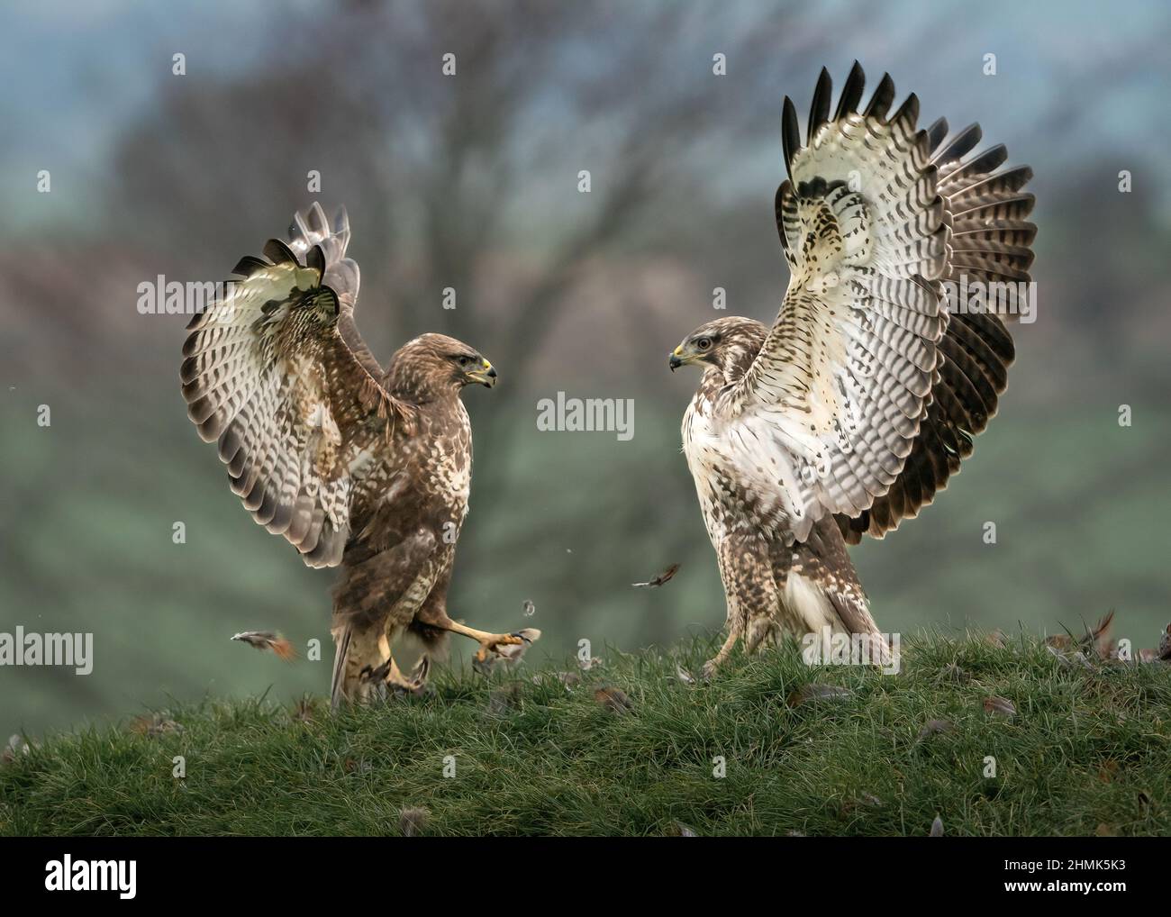 Media drum images hi-res stock photography and images - Alamy