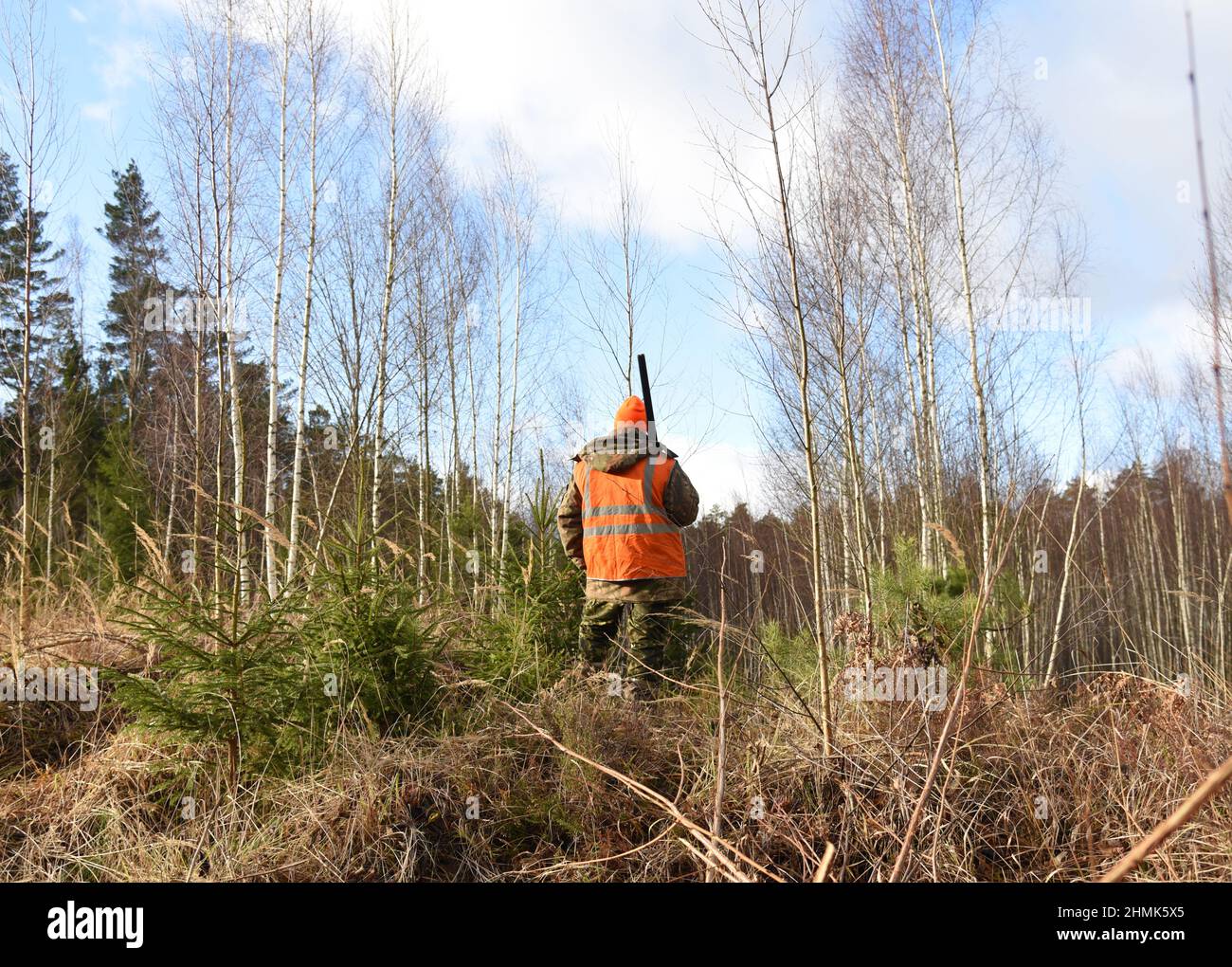 Hunter while hunting wild animals. Hunters with gun and rifle on ...