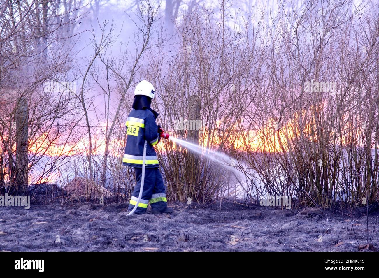 Fire fighting action on the fire site. A firefighter putting out a fire ...