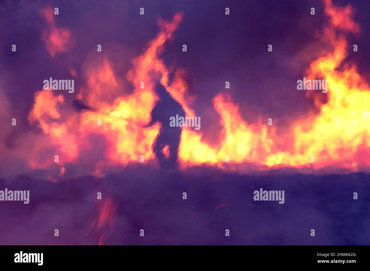 Fire fighting action on the fire site. A firefighter putting out a fire ...