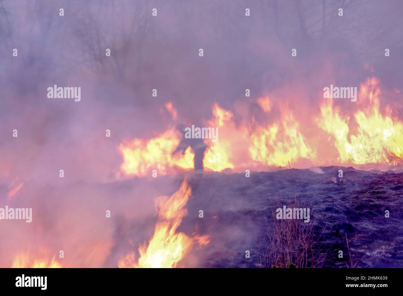 Fire fighting action on the fire site. A firefighter putting out a fire ...