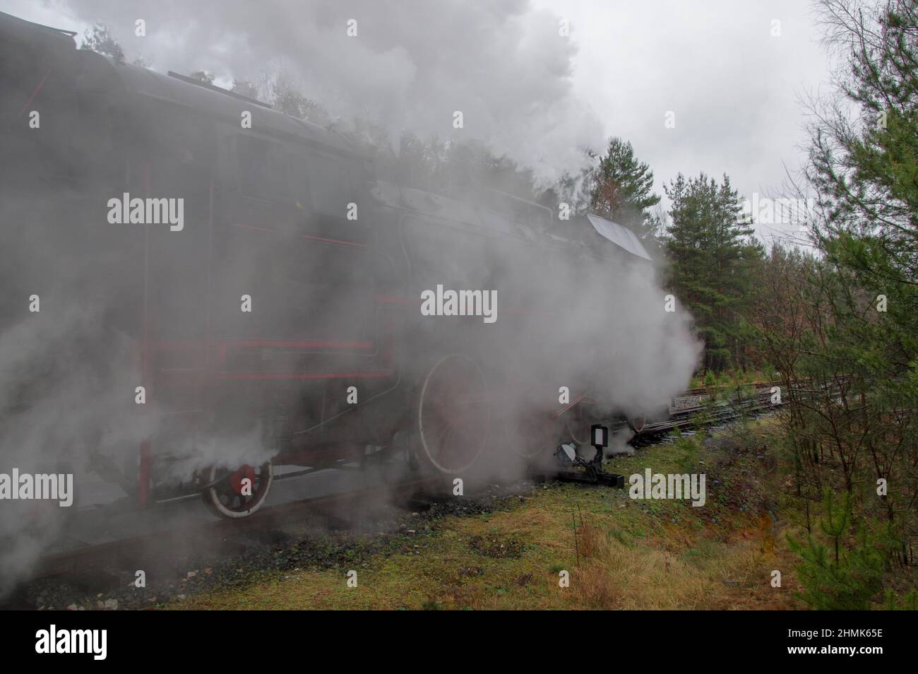 Steam locomotive in clouds of steam Stock Photo - Alamy