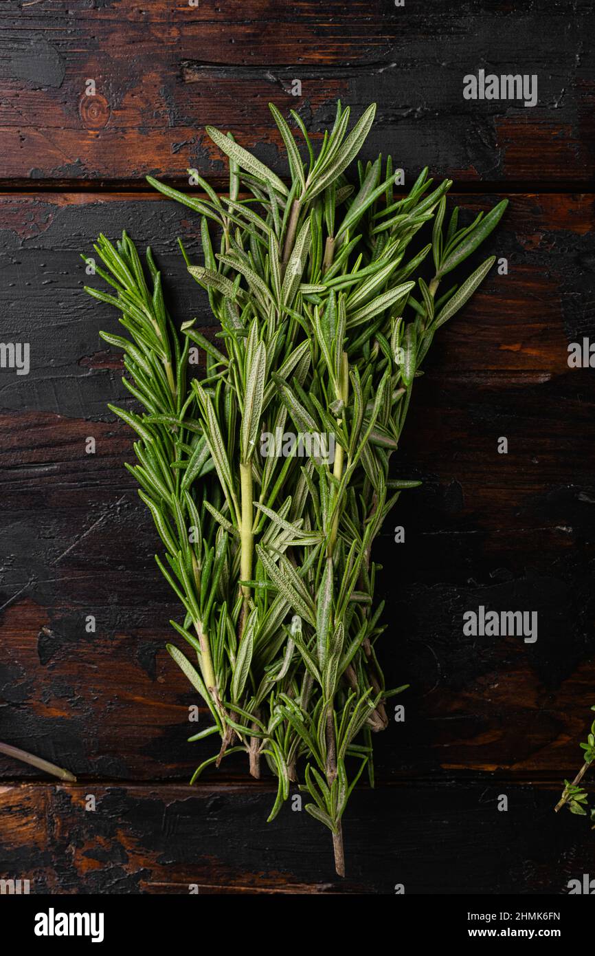 Fresh Rosemary herb set Stock Photo - Alamy