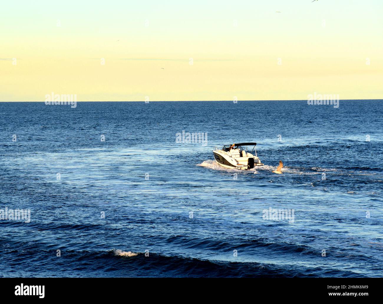 Motor boat in the sea at sunset.Yacht and motorboat on waves in ...