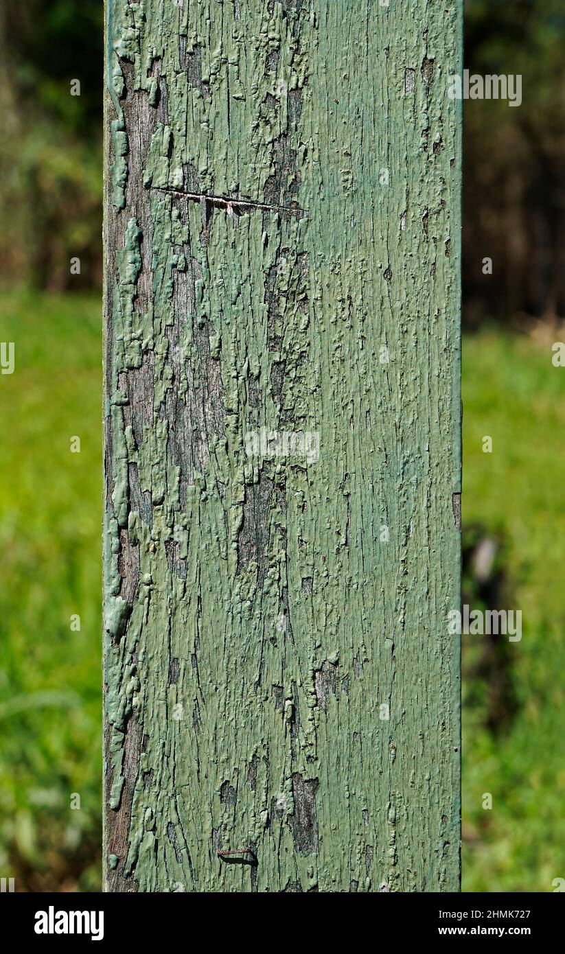 Green paint detail hi-res stock photography and images - Alamy