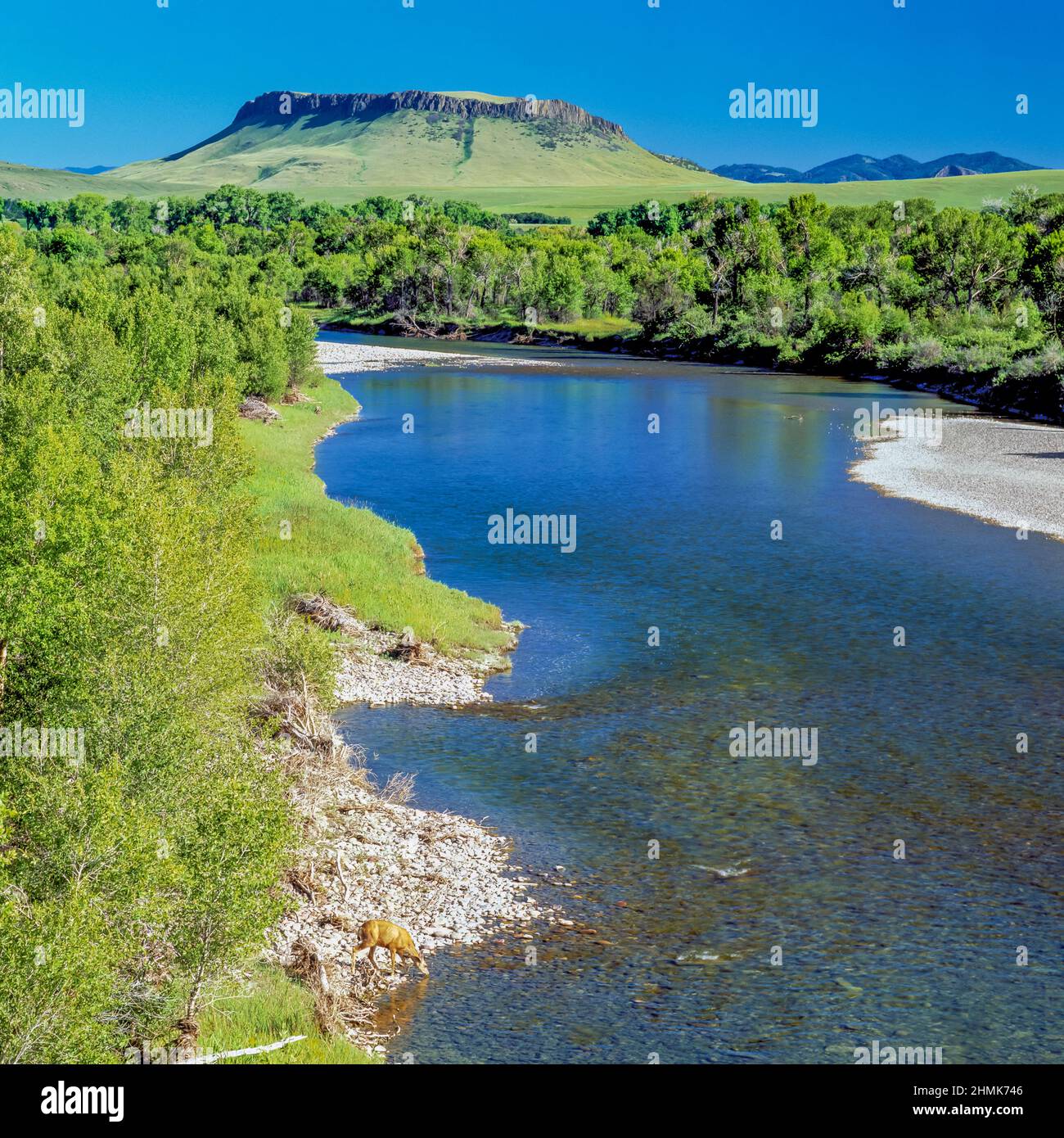 Drinking along the hi-res stock photography and images - Alamy