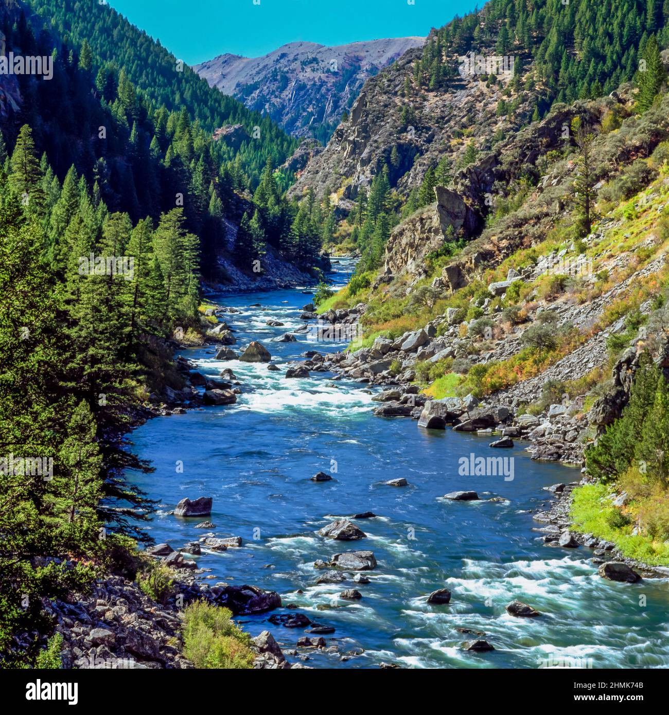 madison river in beartrap canyon of the lee metcalf wilderness near ...