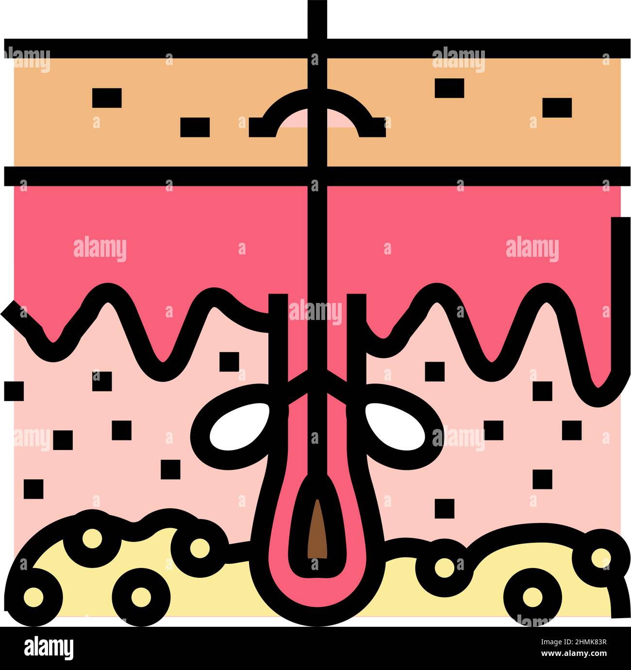 sebum skin production color icon vector illustration Stock Vector Image ...