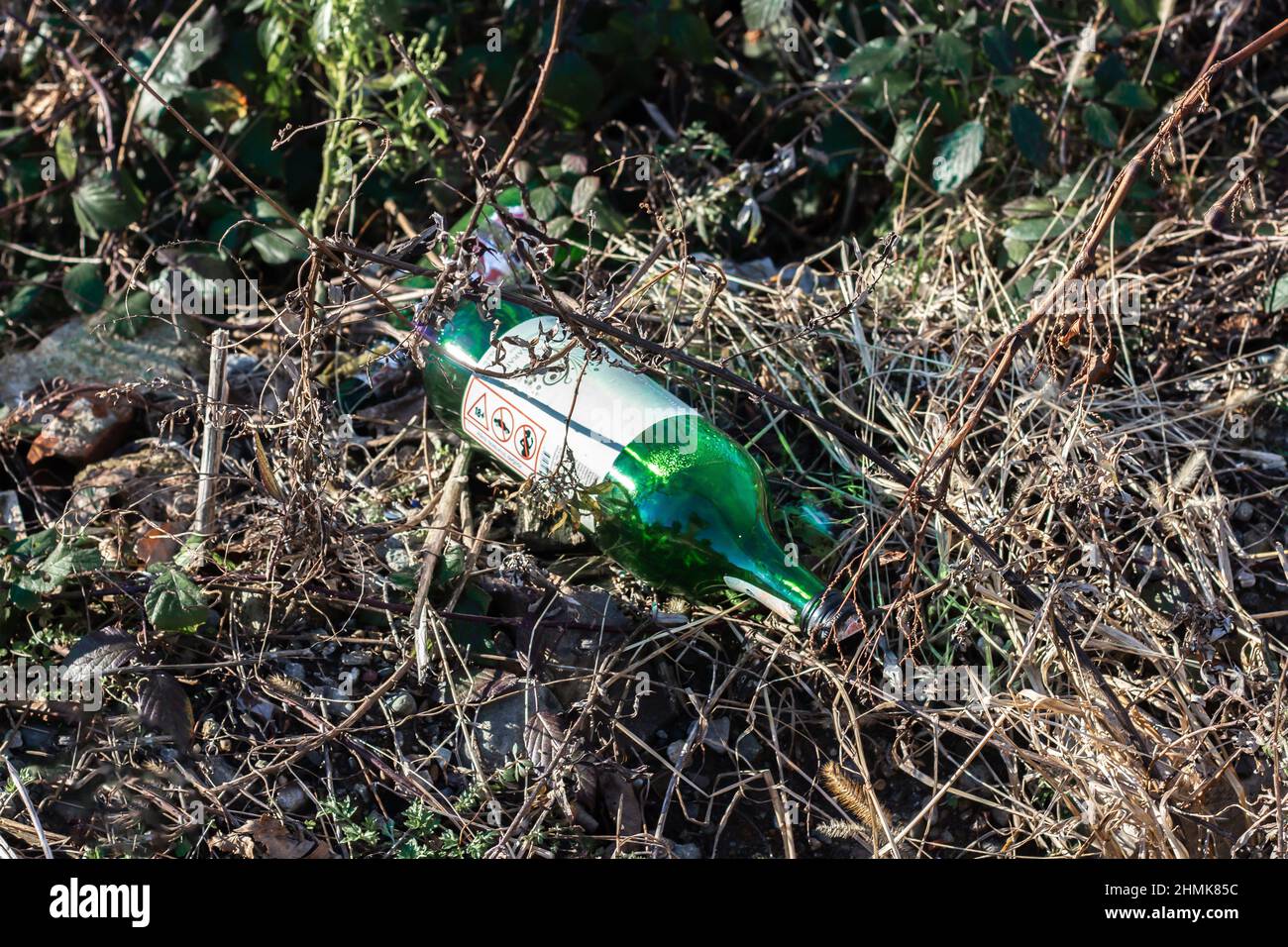 Empty alcohol bottle on nature. Environmental pollution concept World ...