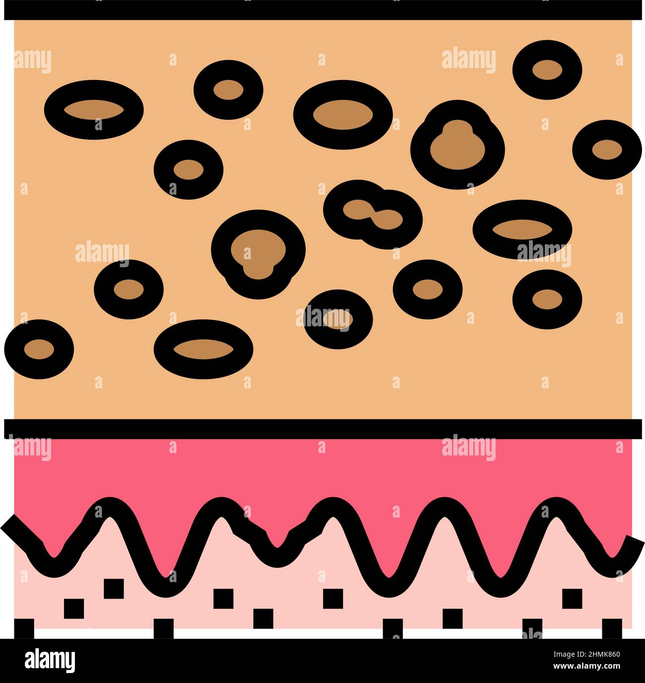 freckles skin color icon vector illustration Stock Vector Image & Art ...