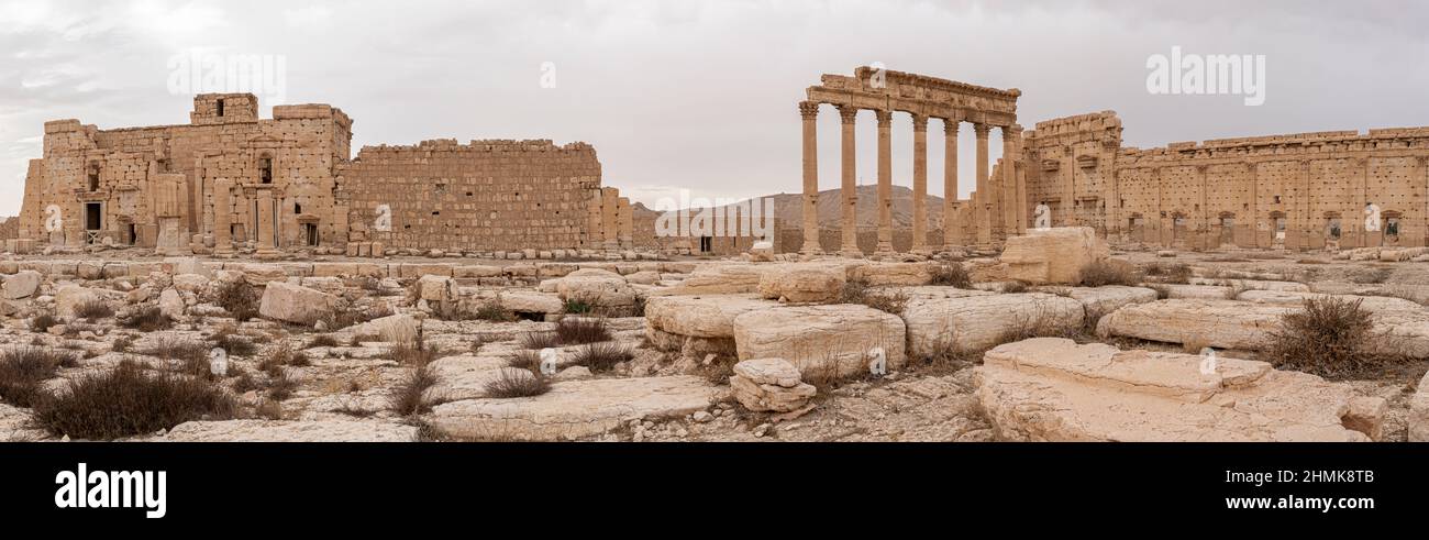 Panorama Palmyra columns and ancient city, destroyed by ISIS, Syria ...