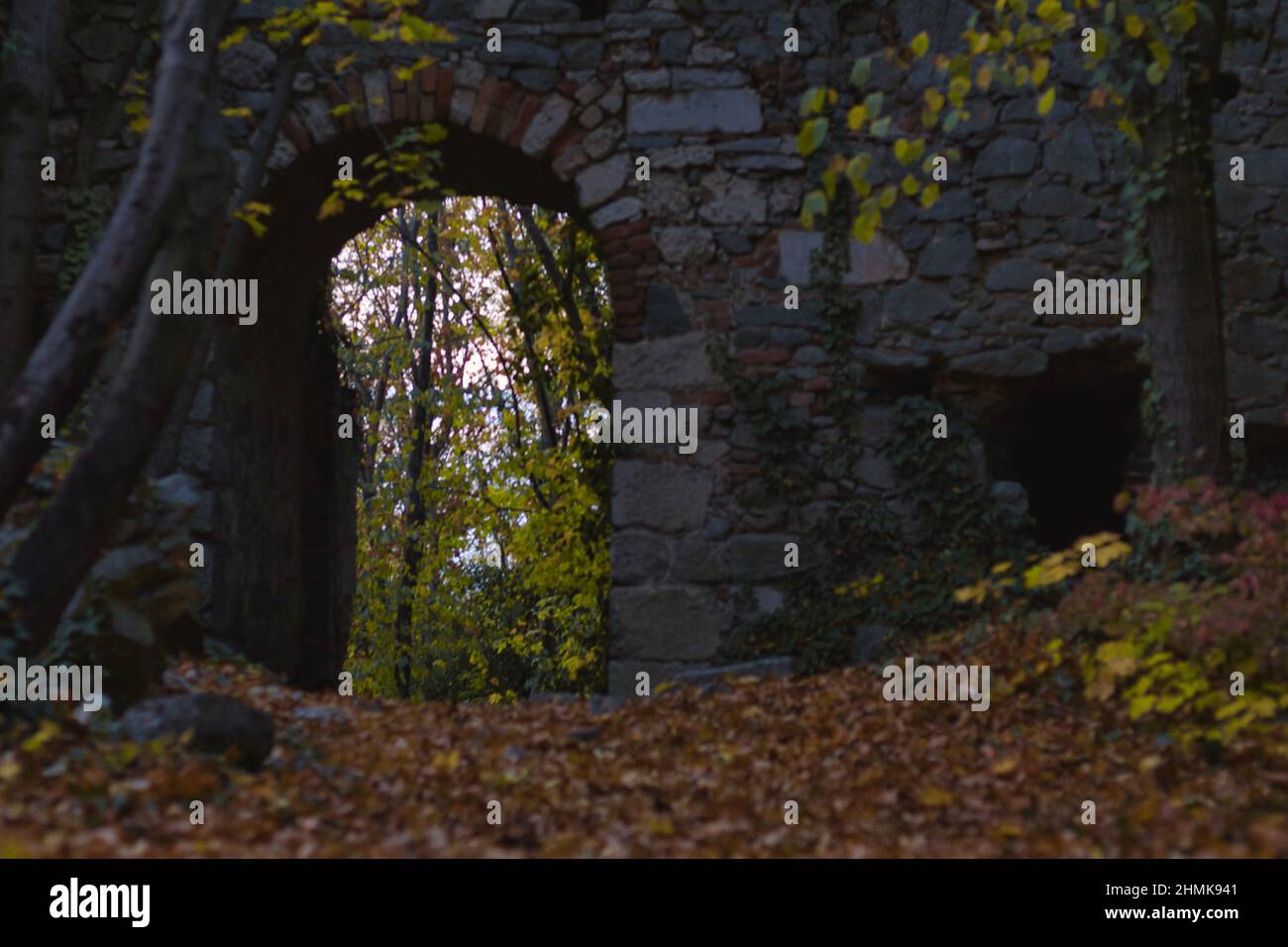 Old building with an arch in a forest with autumn leaves Stock Photo ...