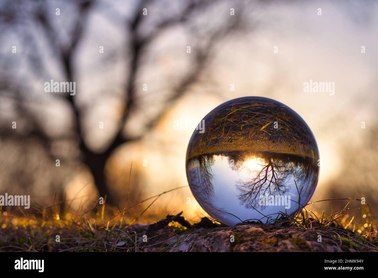 Trees and sunset reflected in a small round ball Stock Photo - Alamy
