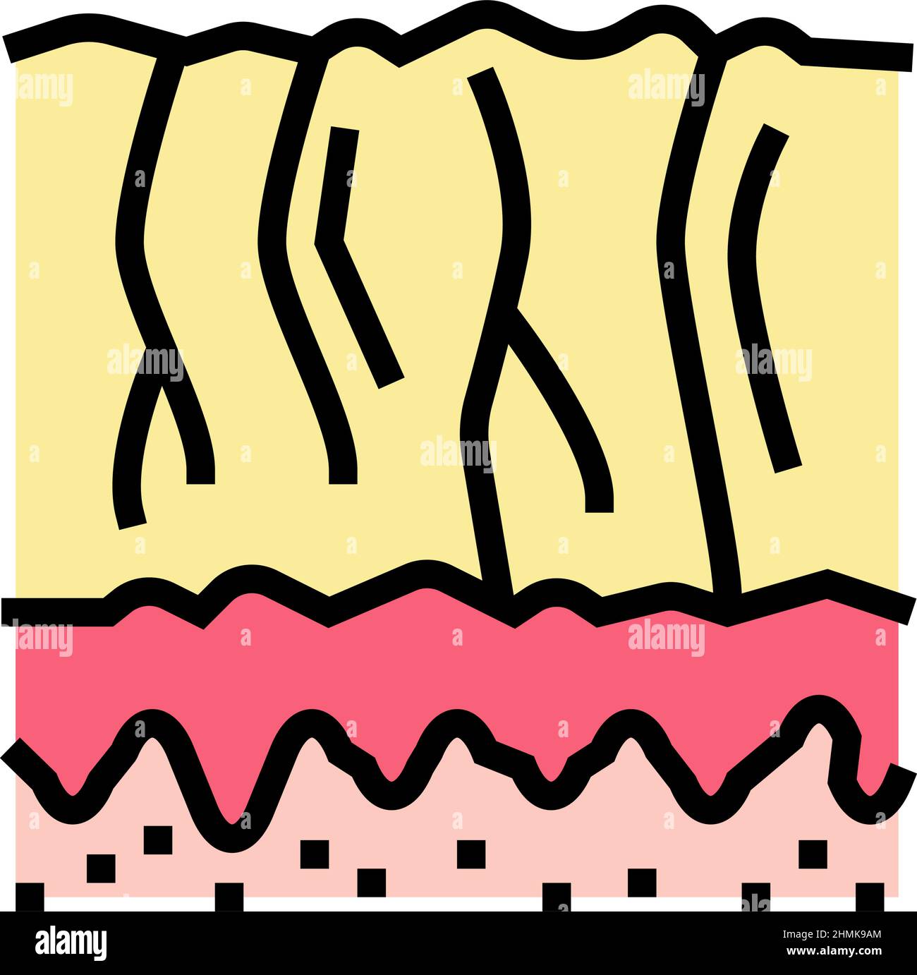 signs of ageing skin color icon vector illustration Stock Vector Image ...