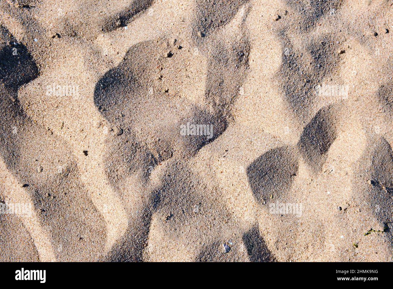 Flat view of clean yellow sand surface covering seaside beach. Sandy ...