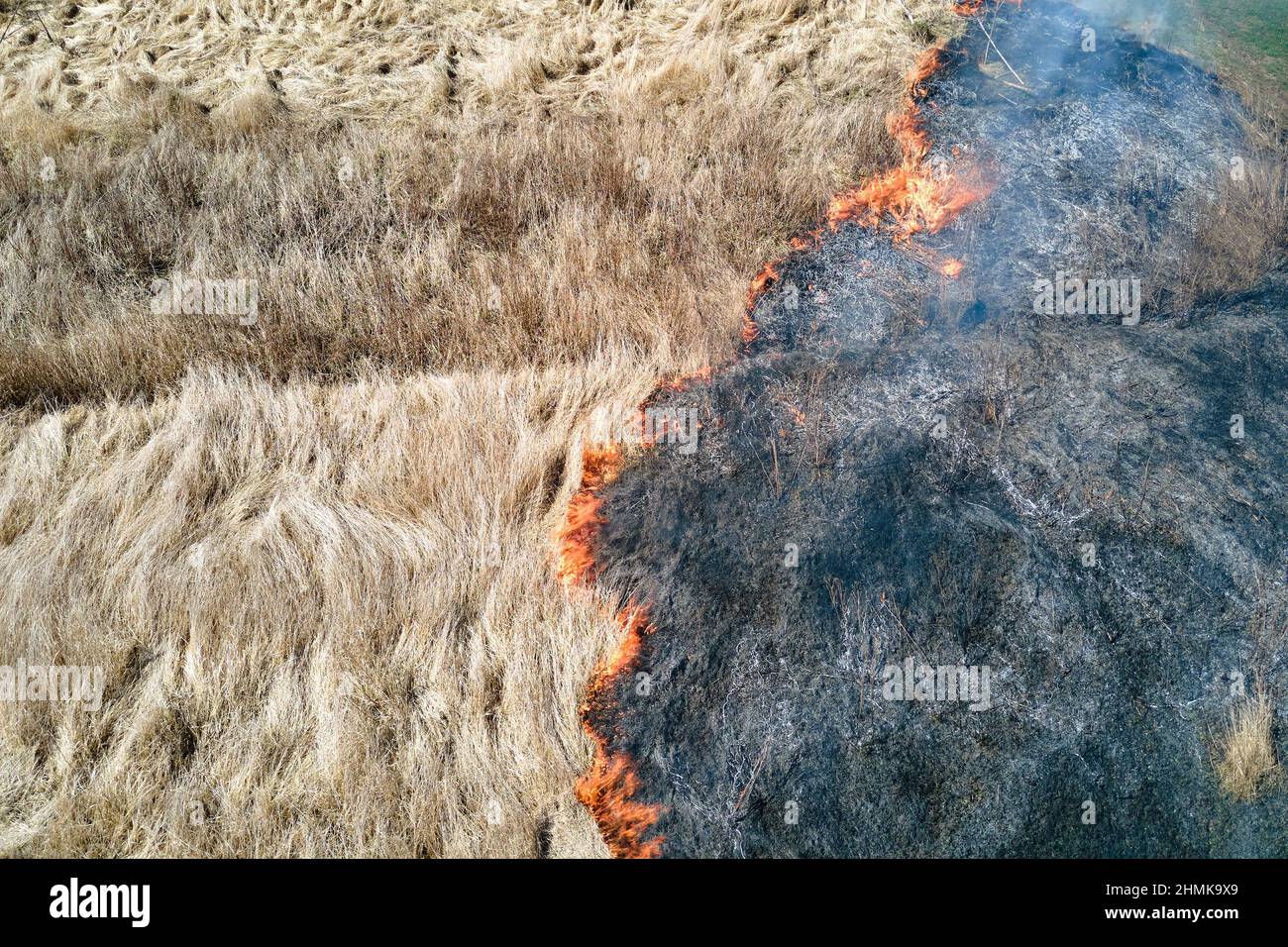 Aerial view of grassland field burning with red fire during dry season ...