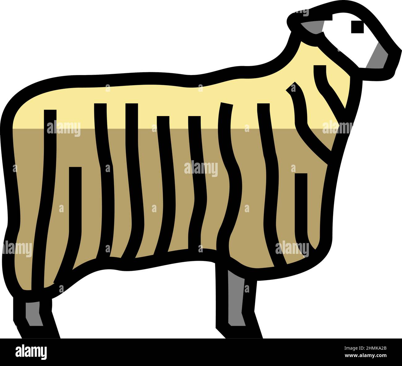 13 teeswater sheep color icon vector illustration Stock Vector Image ...