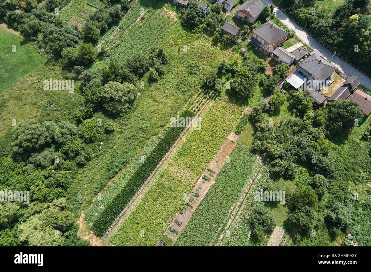 Aerial landscape view of green cultivated agricultural fields with ...
