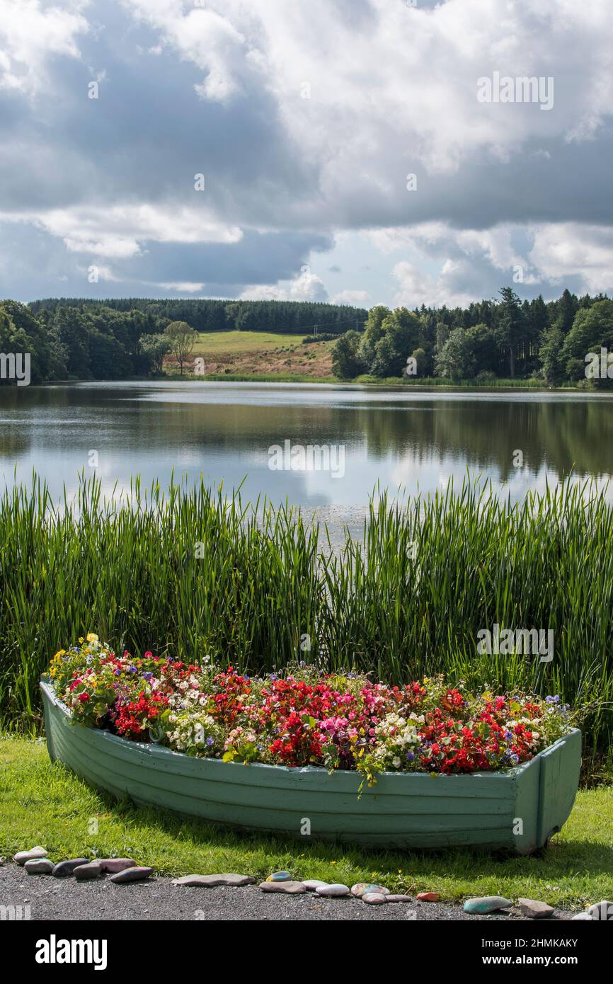 Boat and flowers hi-res stock photography and images - Alamy