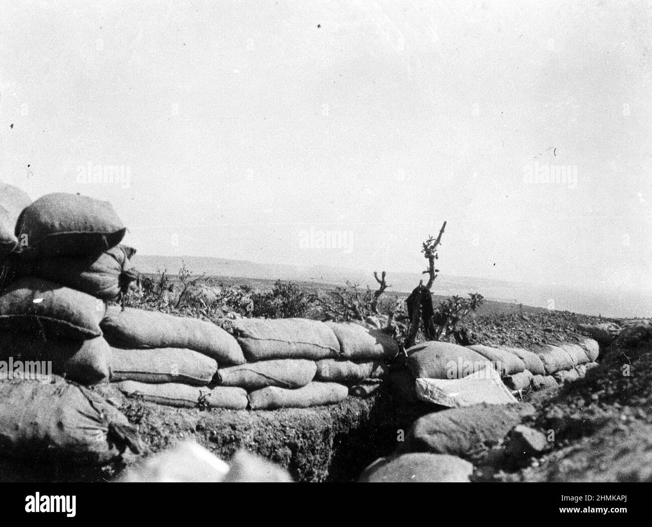 View of a fire trench, Gallipoli, Turkey, 1915 Stock Photo - Alamy
