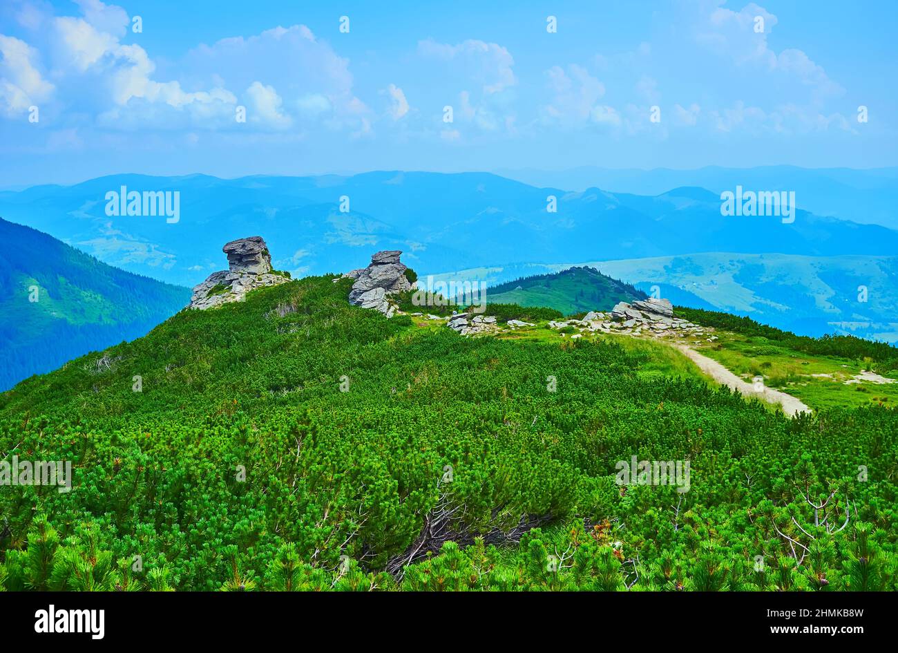 Tundra shrubs hi-res stock photography and images - Alamy