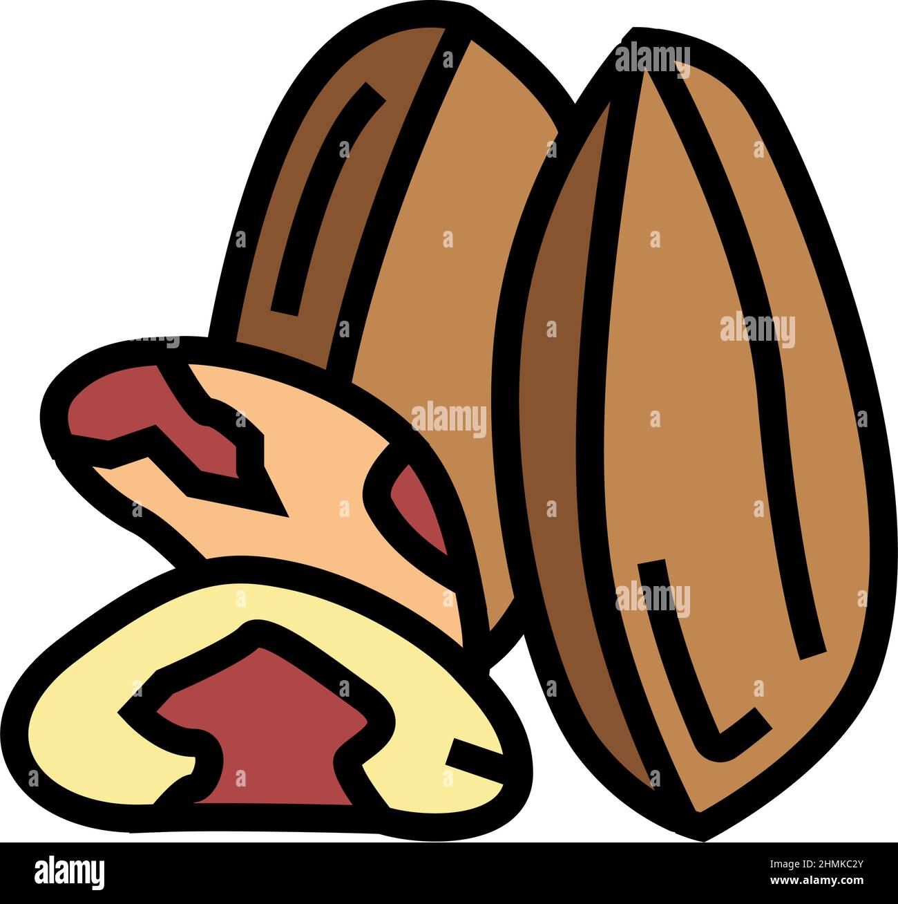 brazil nut color icon vector illustration Stock Vector Image & Art - Alamy