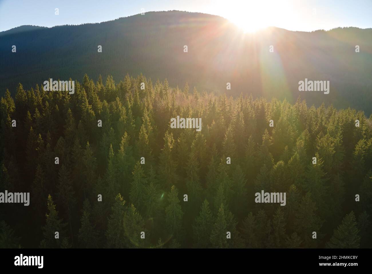 Aerial view of brightly illuminated with sunlight beams foggy dark ...
