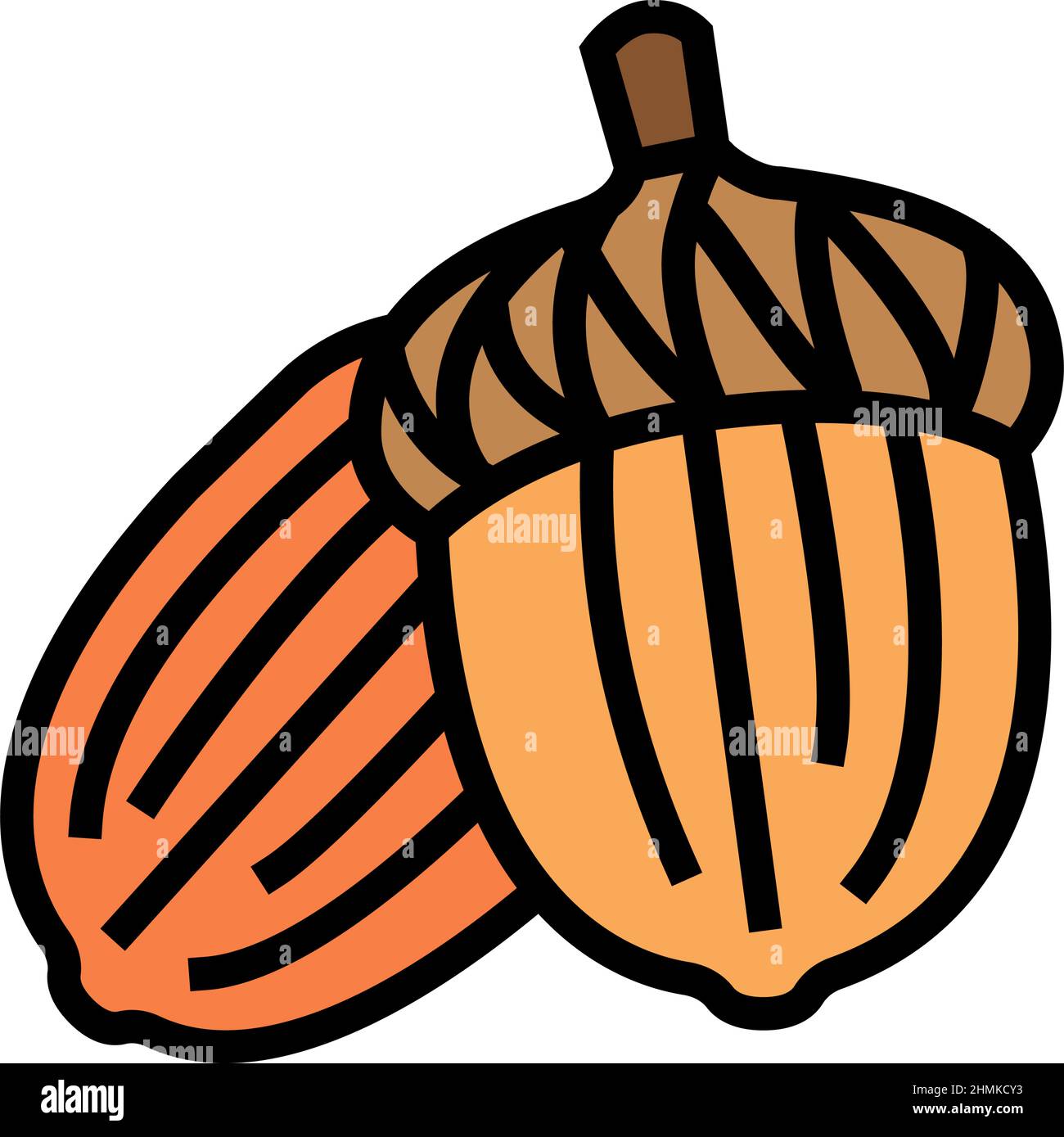 acorn nut color icon vector illustration Stock Vector Image & Art - Alamy