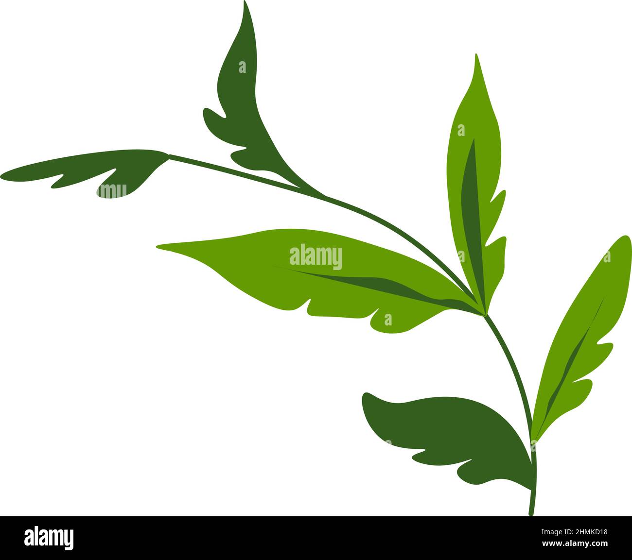Flora and botany, branch with lush foliage vector Stock Vector Image ...