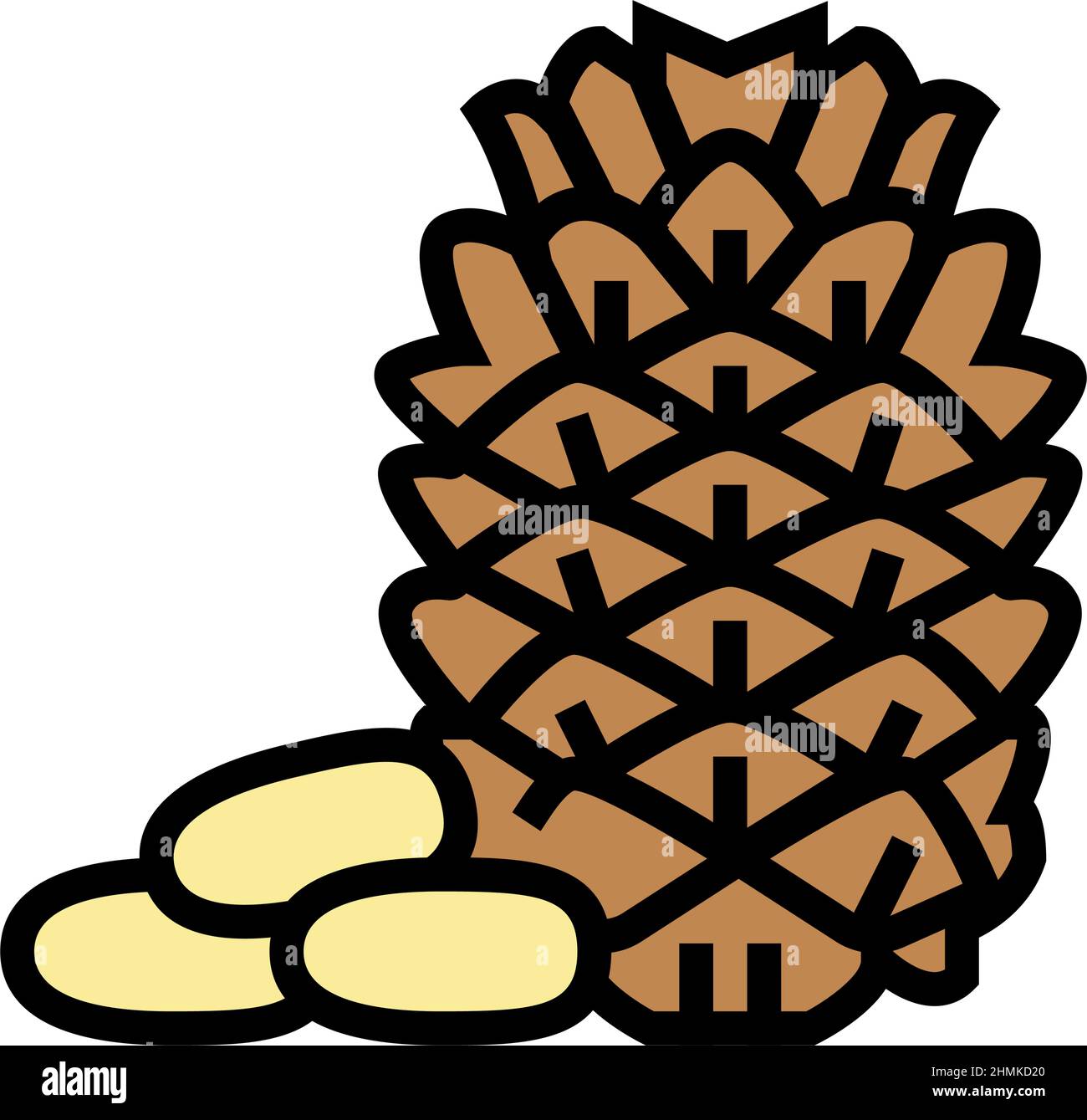pine nut color icon vector illustration Stock Vector Image & Art - Alamy
