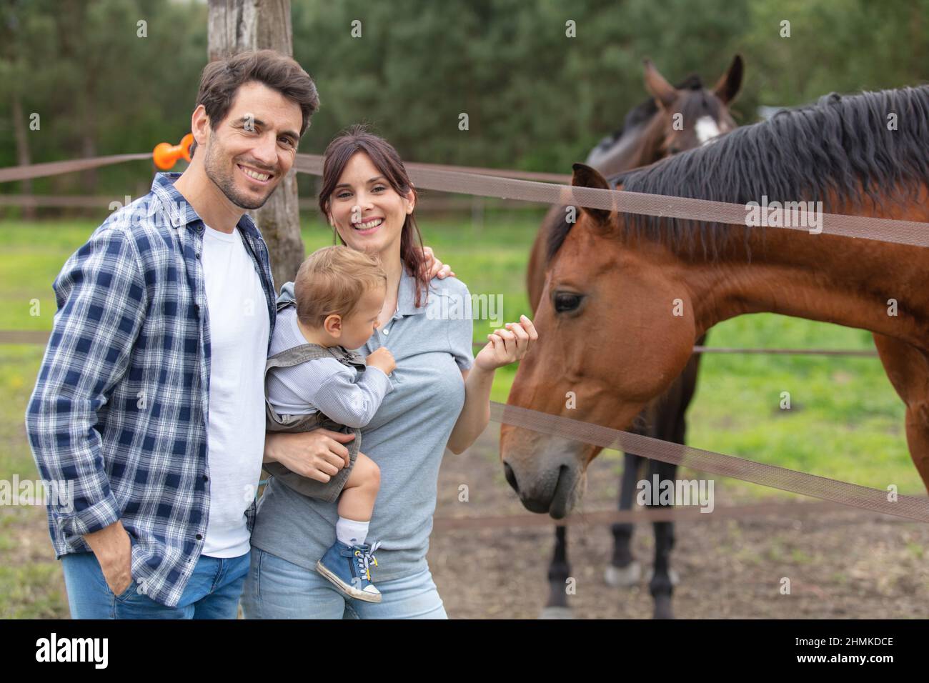 happy young family with a little son with a horse Stock Photo - Alamy