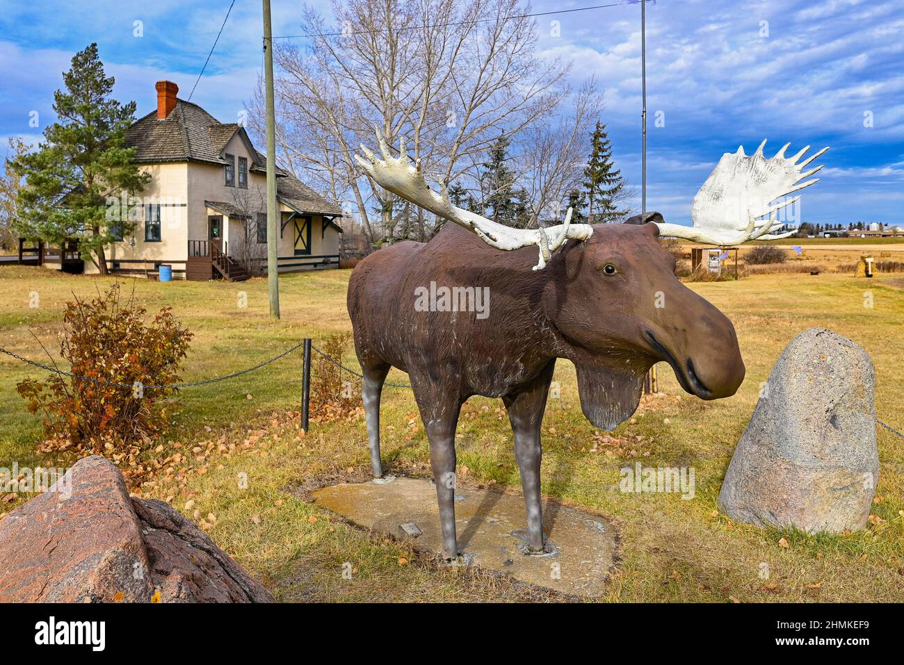 Moose canada town hi-res stock photography and images - Alamy
