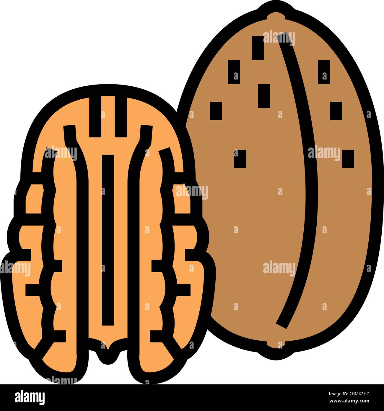 pecan nut color icon vector illustration Stock Vector Image & Art - Alamy