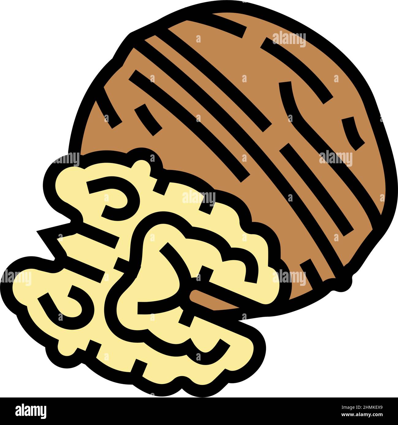walnut nut color icon vector illustration Stock Vector Image & Art - Alamy