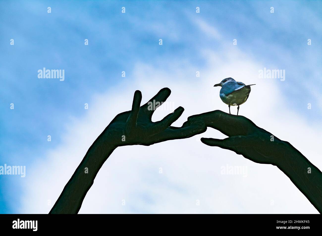 Gull on Mario Armengol sculpture, "The Family of Man", downtown Calgary ...