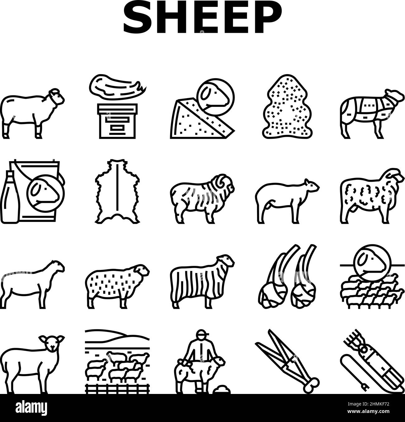 Sheep Breeding Farm Business Icons Set Vector Stock Vector Image & Art ...