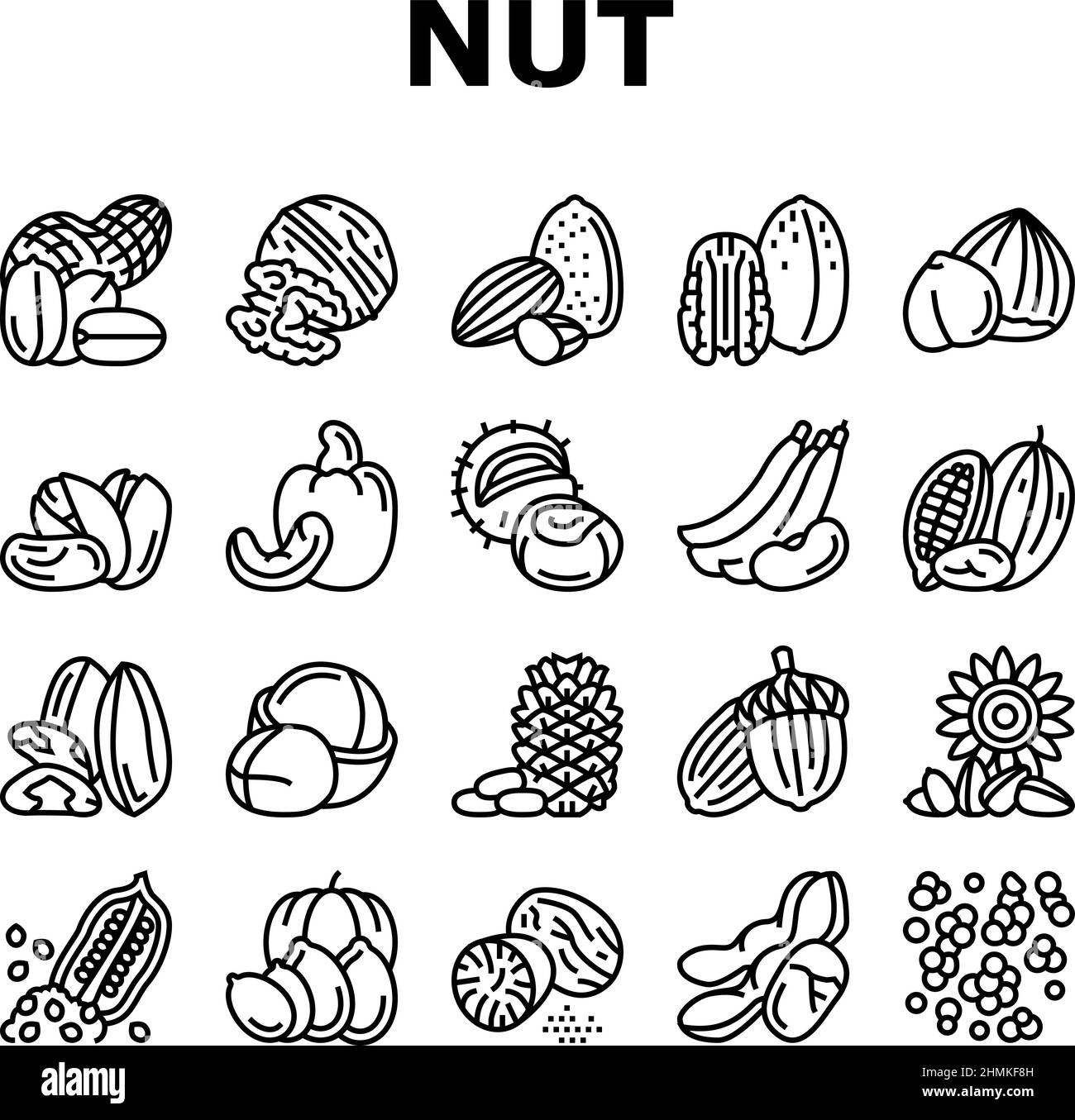 Nut Delicious Natural Nutrition Icons Set Vector Stock Vector Image ...