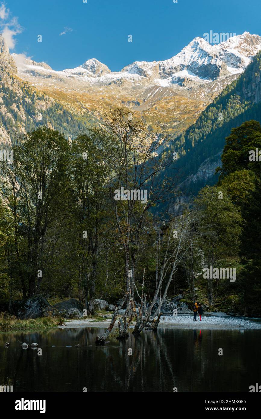 Vertical shot of the mesmerizing Italian Alps landscape with a lake at ...