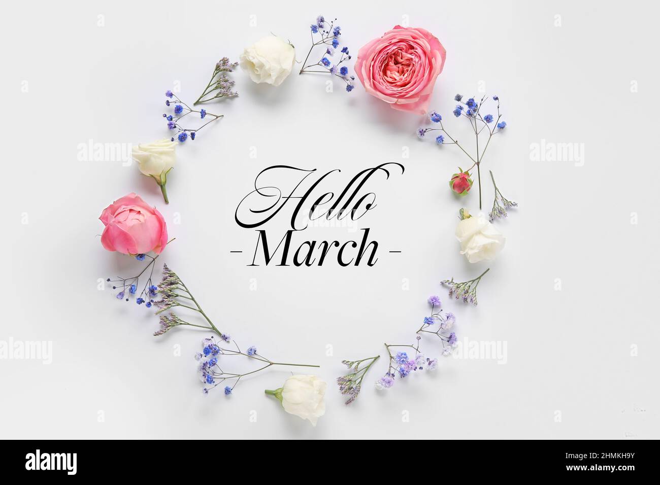 Beautiful flowers with text HELLO MARCH on light background Stock Photo ...