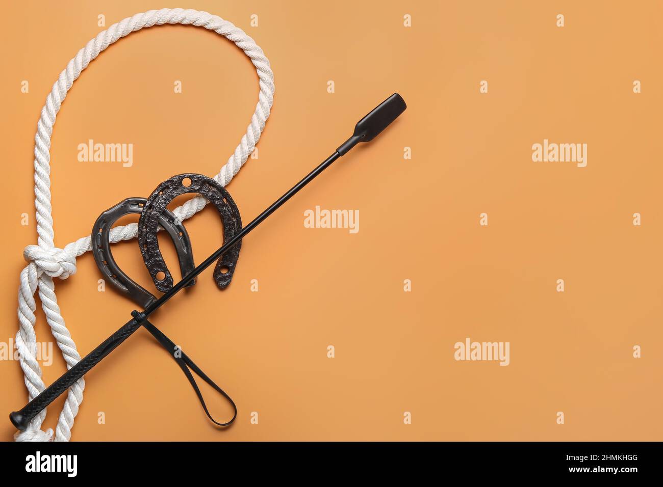 Horse riding crop with rope and horseshoes on color background Stock ...