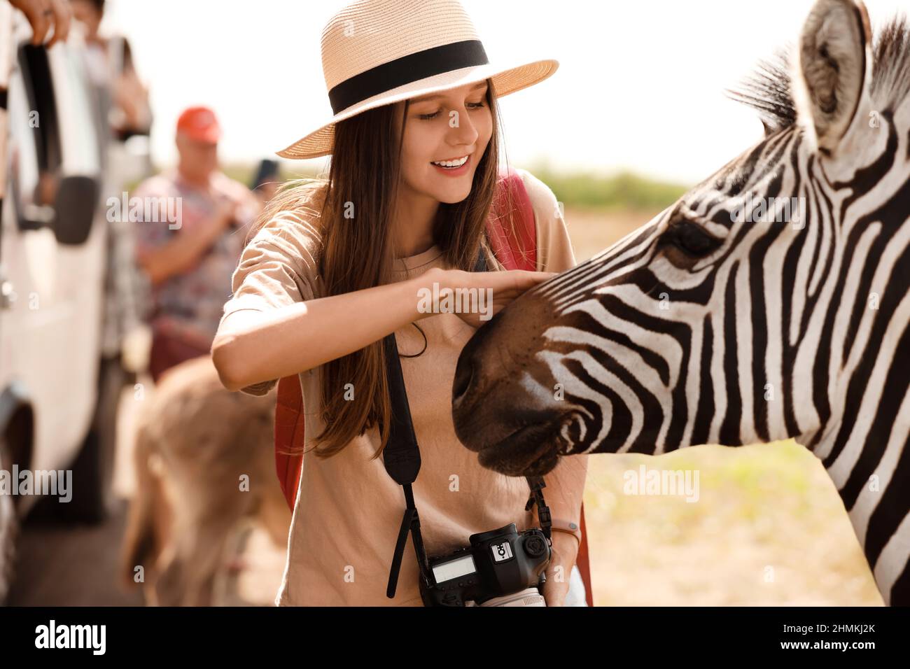 Female tourist with beautiful zebra in wildlife sanctuary Stock Photo ...