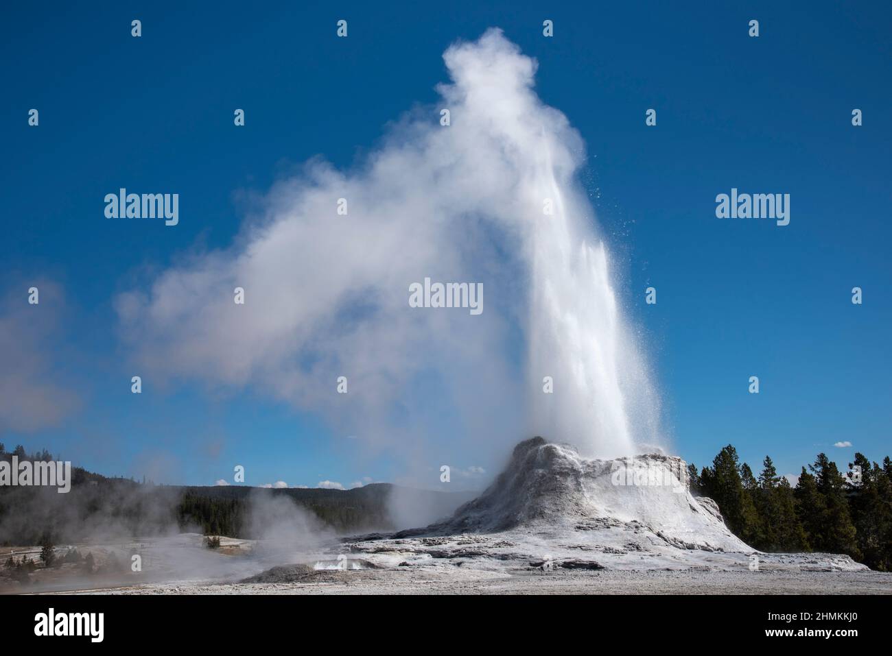 Castle Geyser erupting in Yellowstone National Park Stock Photo - Alamy